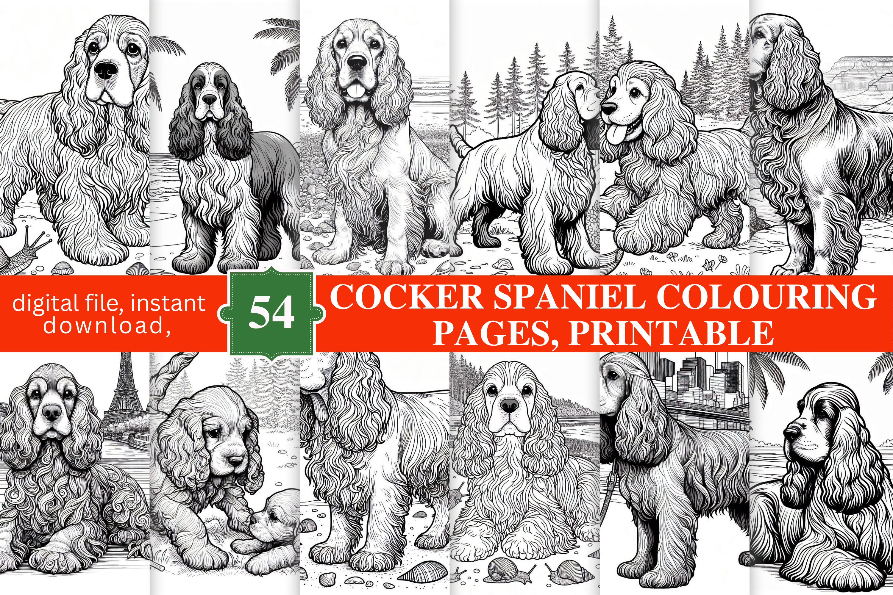 Get Creative with Cocker Spaniel Colouring Sheets – the cool parrot girl